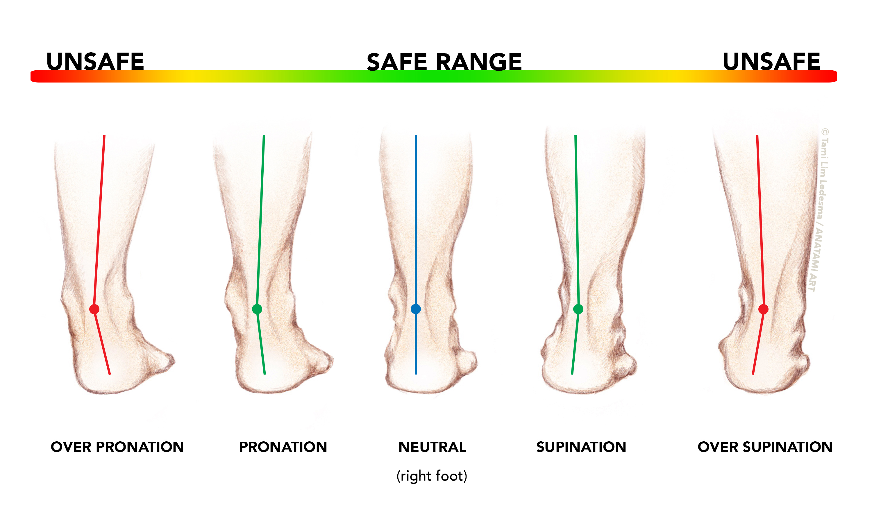 Pronation Vs. Supination: What’s The Difference And Why Does It Matter ...